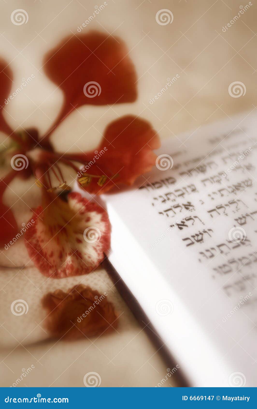 Psalms magic stock image. Image of design, mystic, pleasure - 6669147