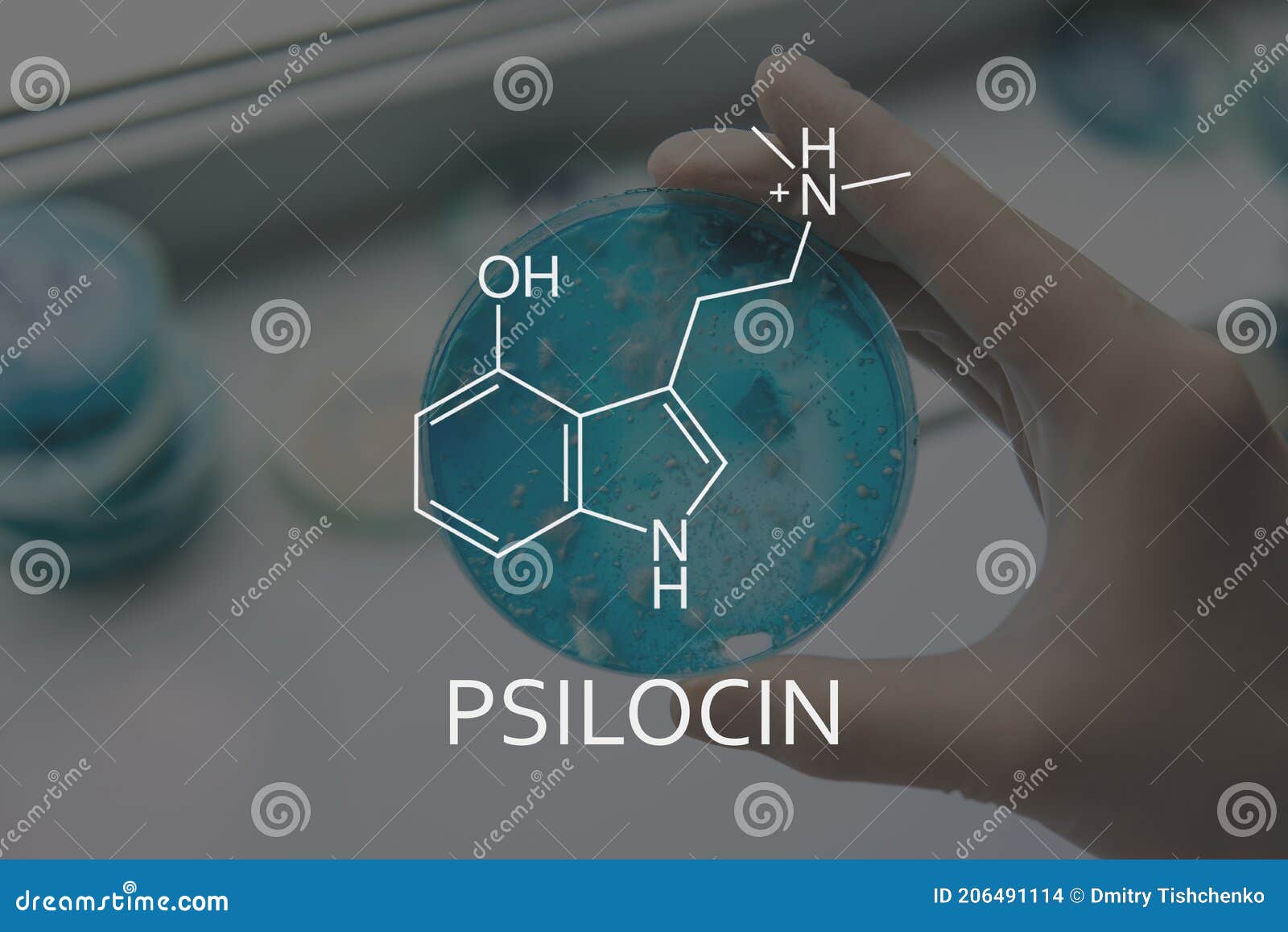 Psilocin Formula. Psychoactive Natural Drug Stock Photo - Image of ... Psilocin Formula. Psychoactive Natural Drug Stock Photo - Image of ...
