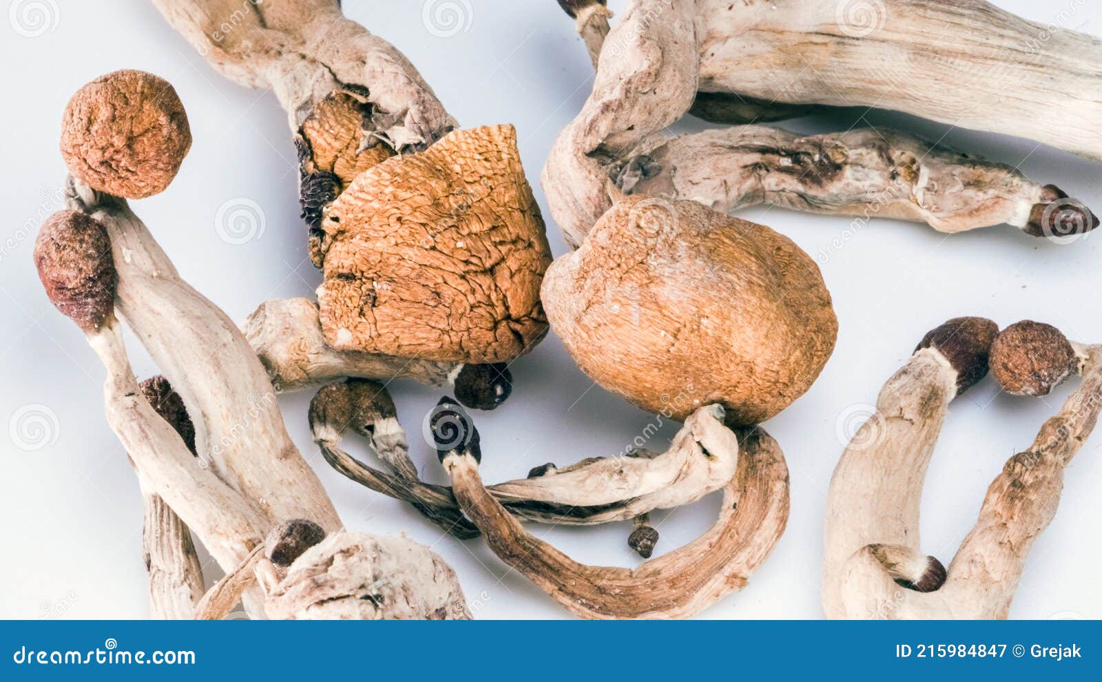 Psilocybin and Magic Mushrooms Stock Image - Image of psychotropic ...