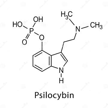 Psilocybin Molecule, Vector Chemical Formula Stock Vector ...