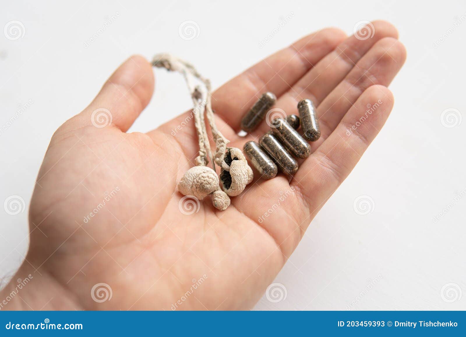 Psilocybin Mushroom in Hand. Psychedelic Microdosing. Magic Shroom ...