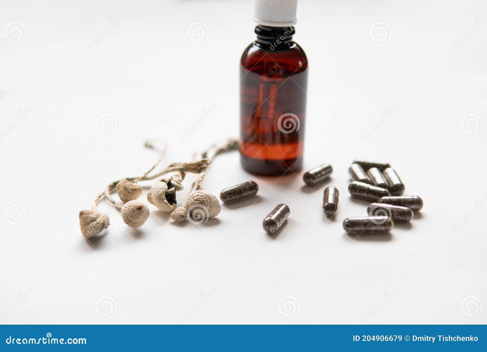 Psilocybin Mushroom in Hand. Psychedelic Microdosing Stock Image ...