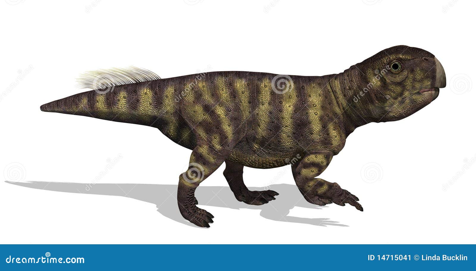 Psittacosaurus Dinosaur stock illustration. Illustration of ...