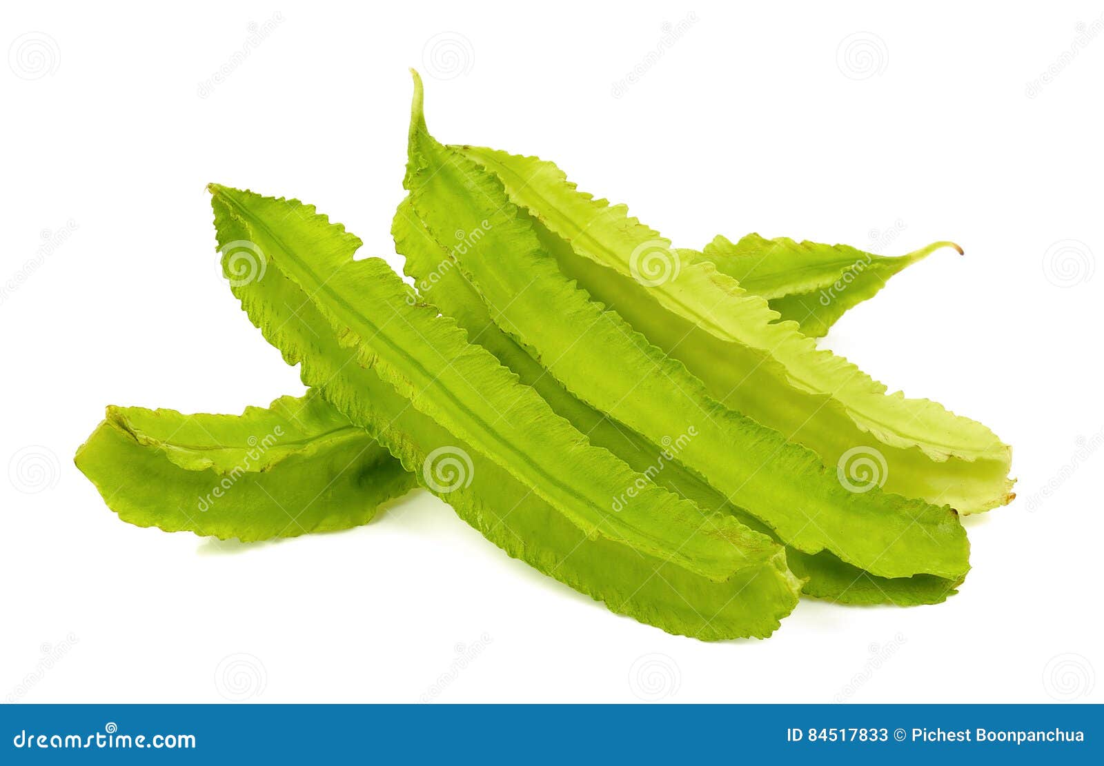 Psophocarpus Tetragonolobus Isolated on the White Background Stock ...