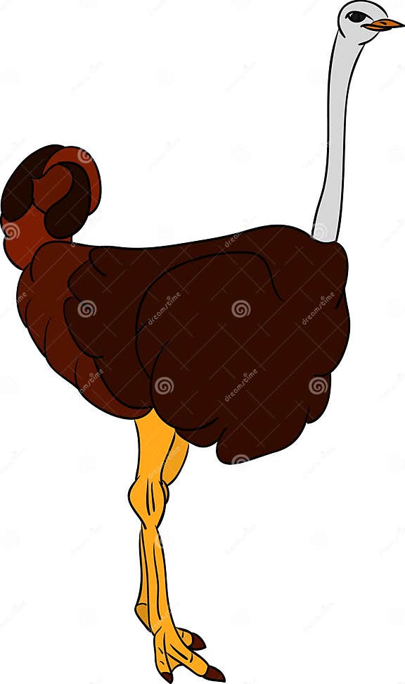 Pstros stock vector. Illustration of nature, draw, fauna - 10094841