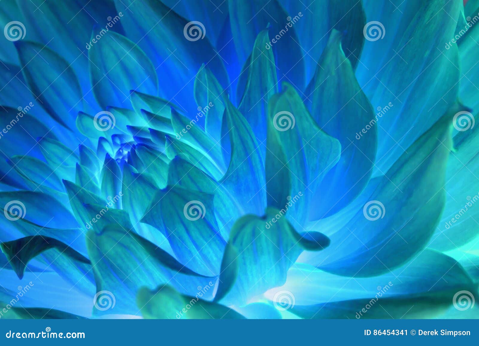 Psychedelic Blue Flower Abstract Stock Image - Image of blooming ...