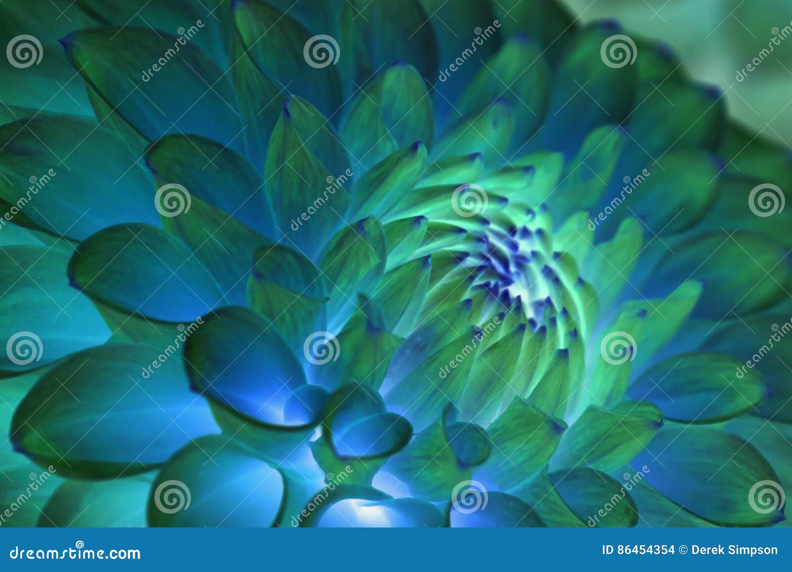 Psychedelic Blue Flower Abstract Stock Photo - Image of background ...