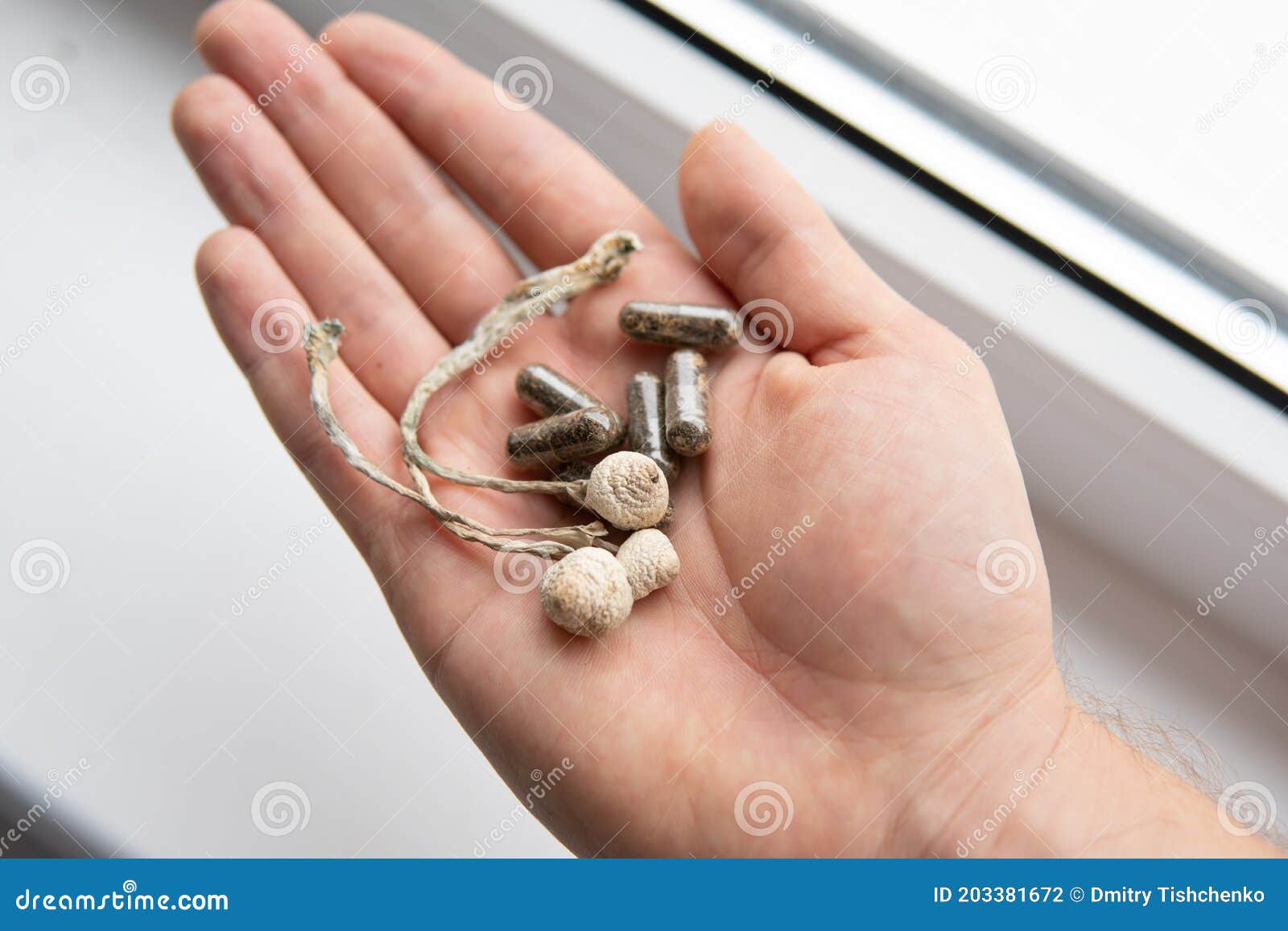 Psychedelic Microdosing. Magic Shroom Stock Photo - Image of mycology ...