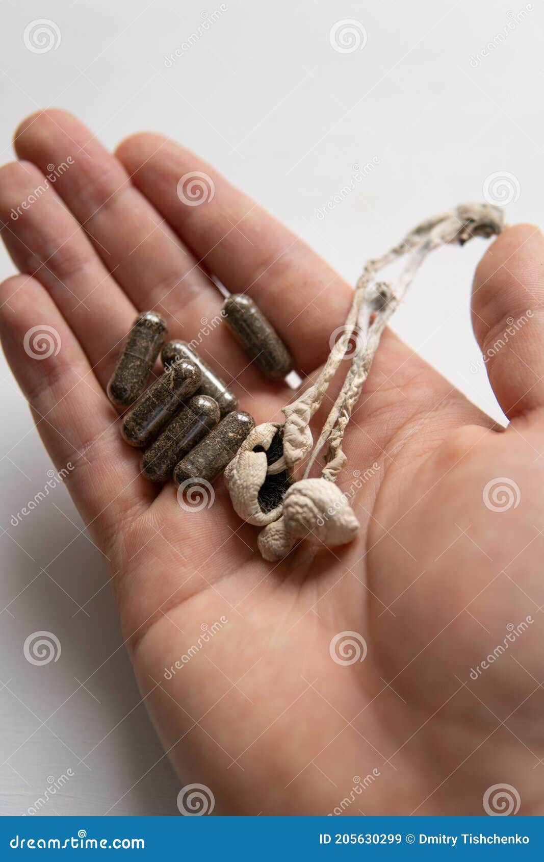 Psychedelic Microdosing. Magic Shroom. Psilocybin Mushroom in Hand ...