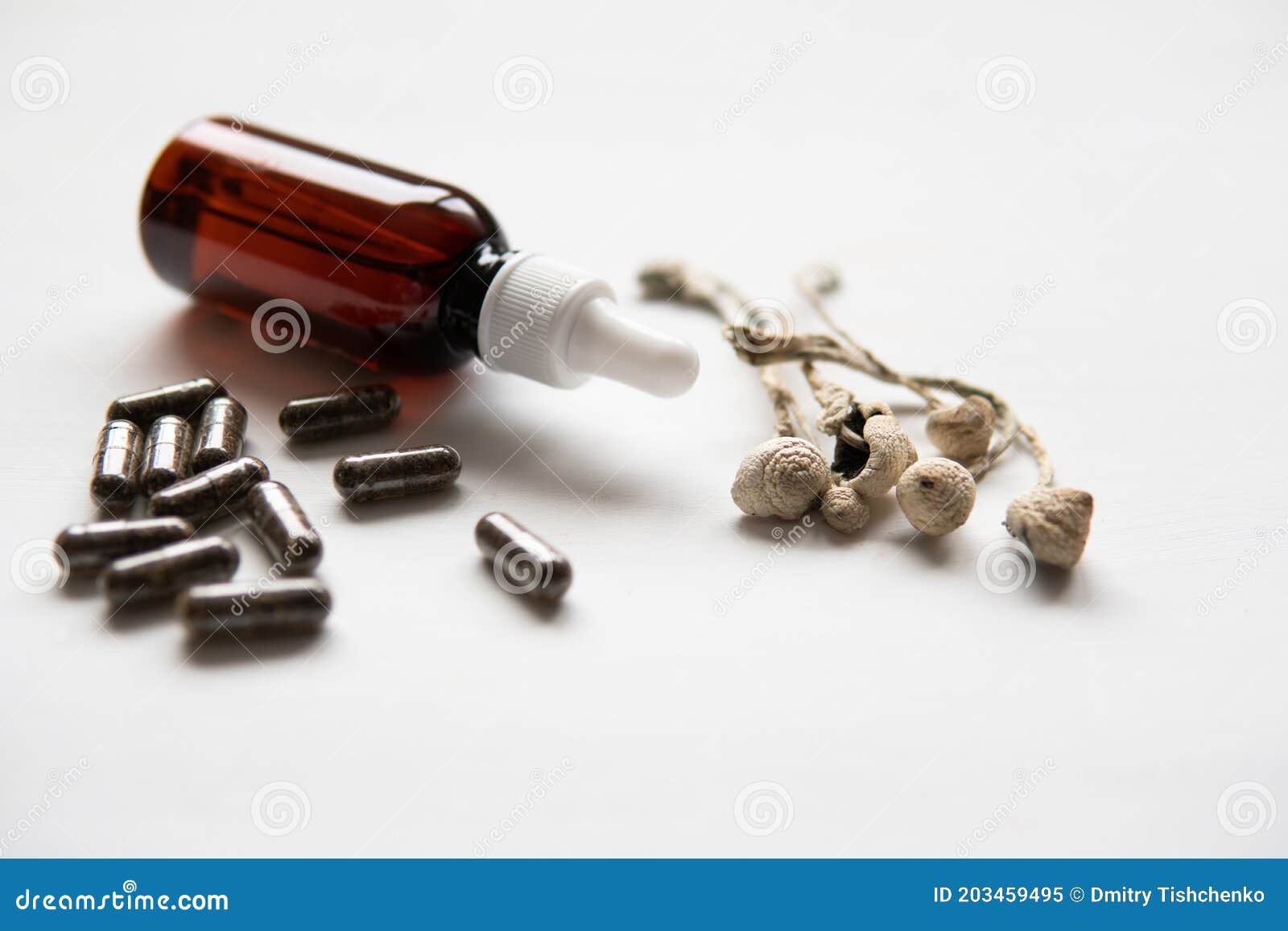 Psychedelic Microdosing. Psilocybin Mushroom Stock Image - Image of ...