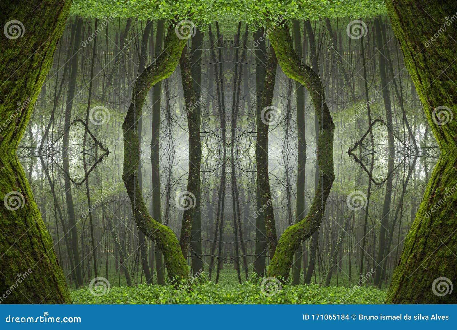 Psychedelic Rain Forest, Symmetrical Kaleidoscope Abstract Background ...