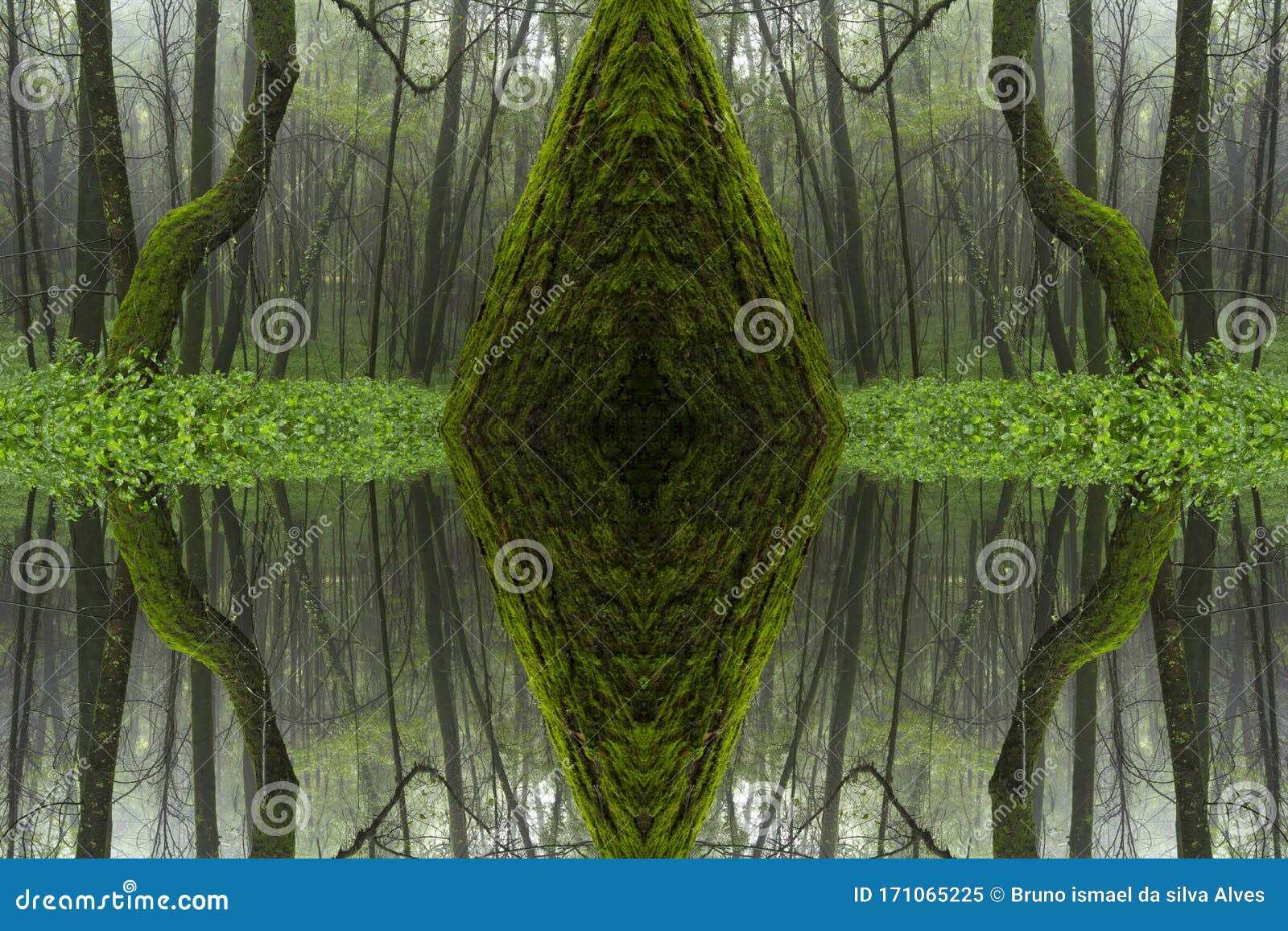 Psychedelic Rain Forest, Symmetrical Kaleidoscope Abstract Background ...