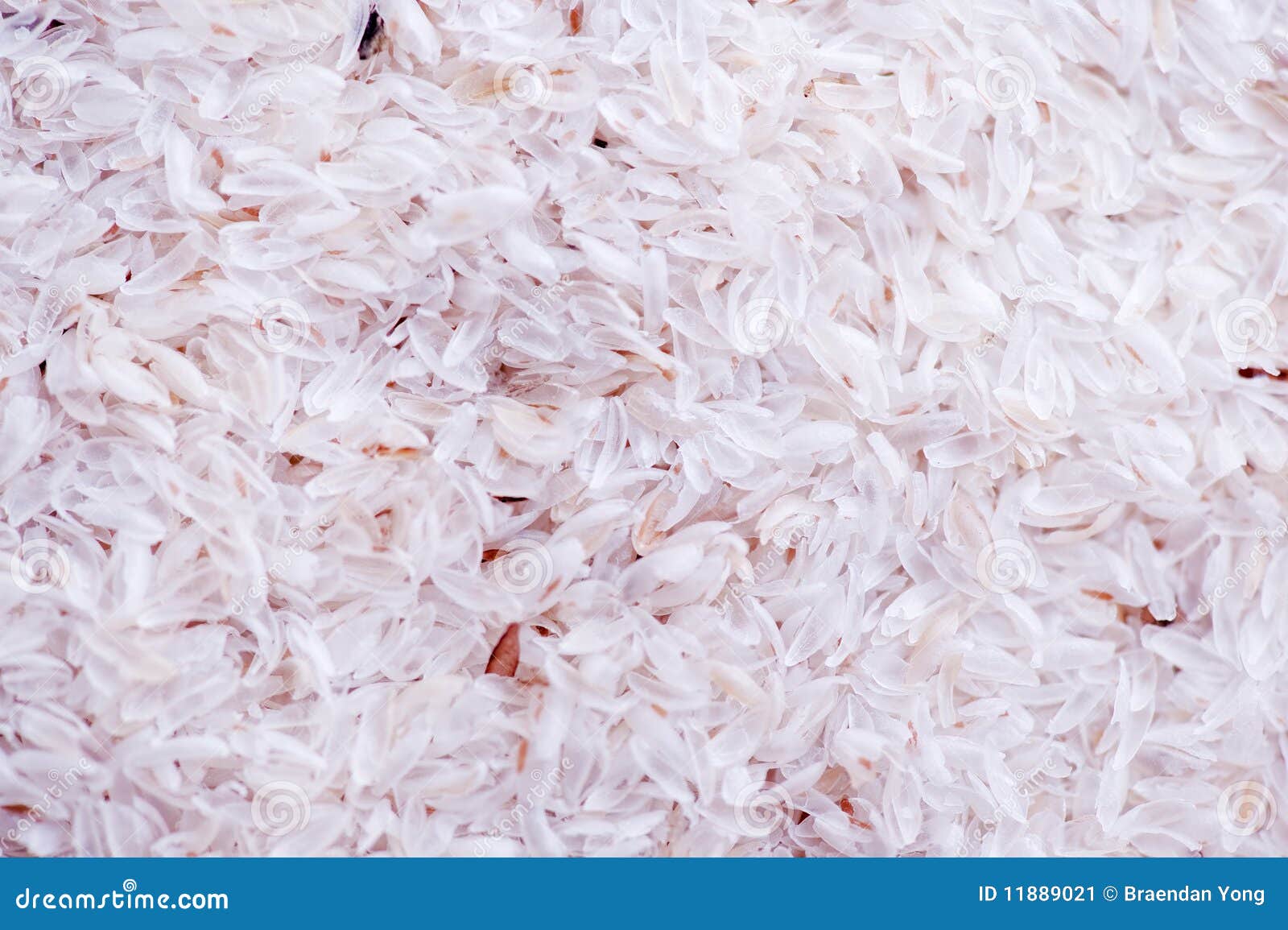 Psyllium seed husks stock image. Image of healthy, diarrhea - 11889021