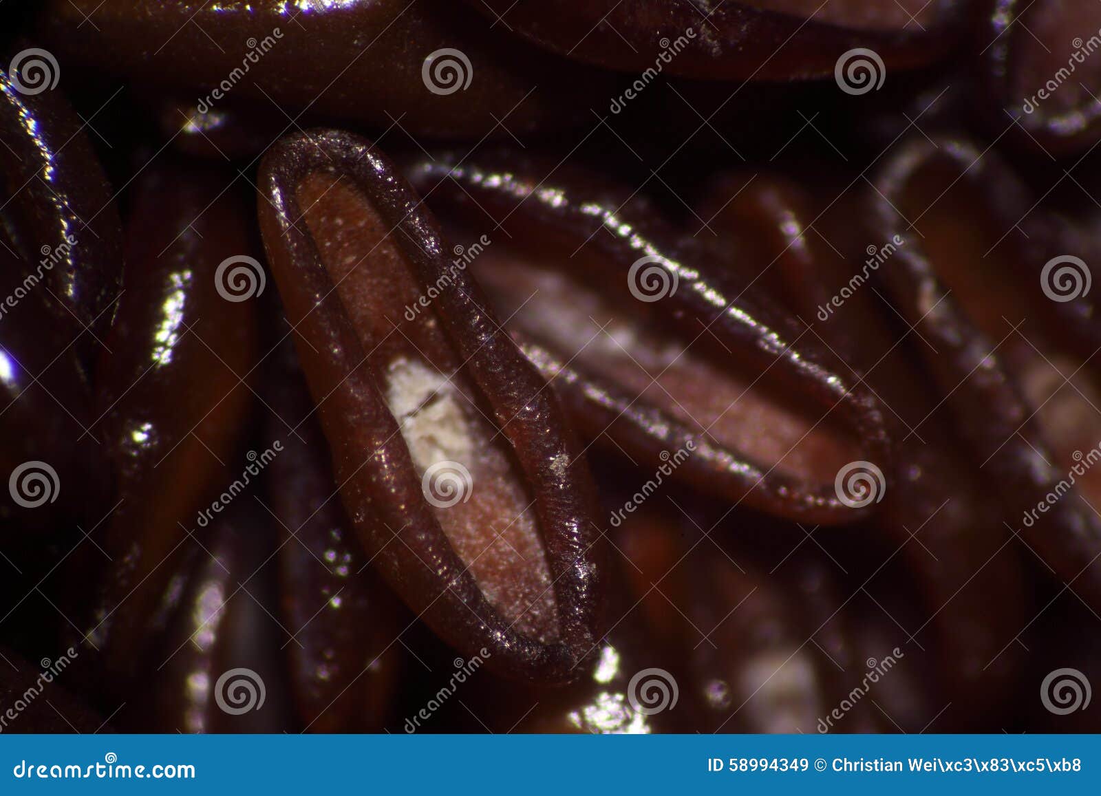 Psyllium seed husks stock image. Image of tiny, nature - 58994349