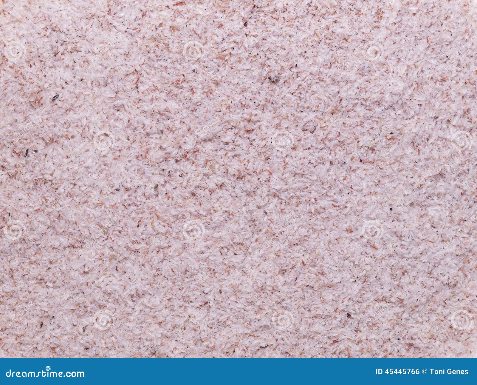 Psyllium seed husks stock photo. Image of bran, laxative - 45445766