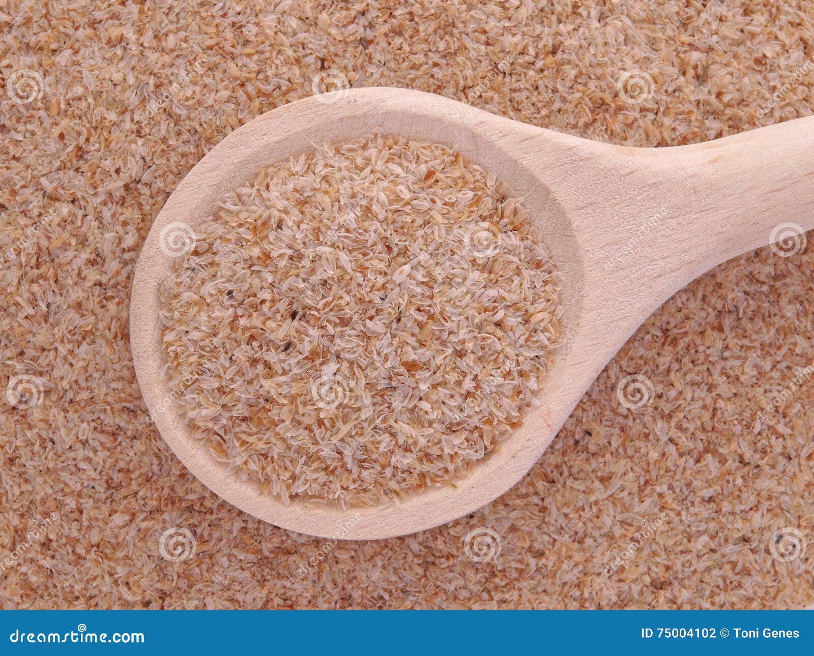Psyllium Seeds Husks in Wooden Spoon Stock Photo - Image of colon ...