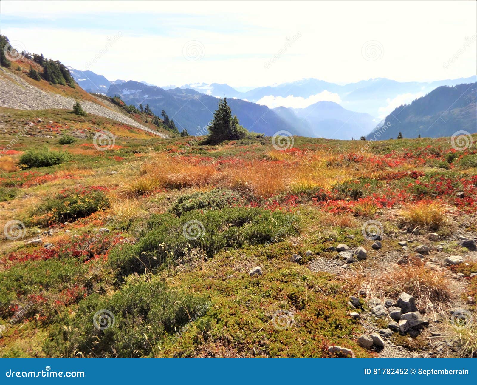 Ptarmigan Ridge Trail with Fall Color Stock Photo - Image of pacific ...