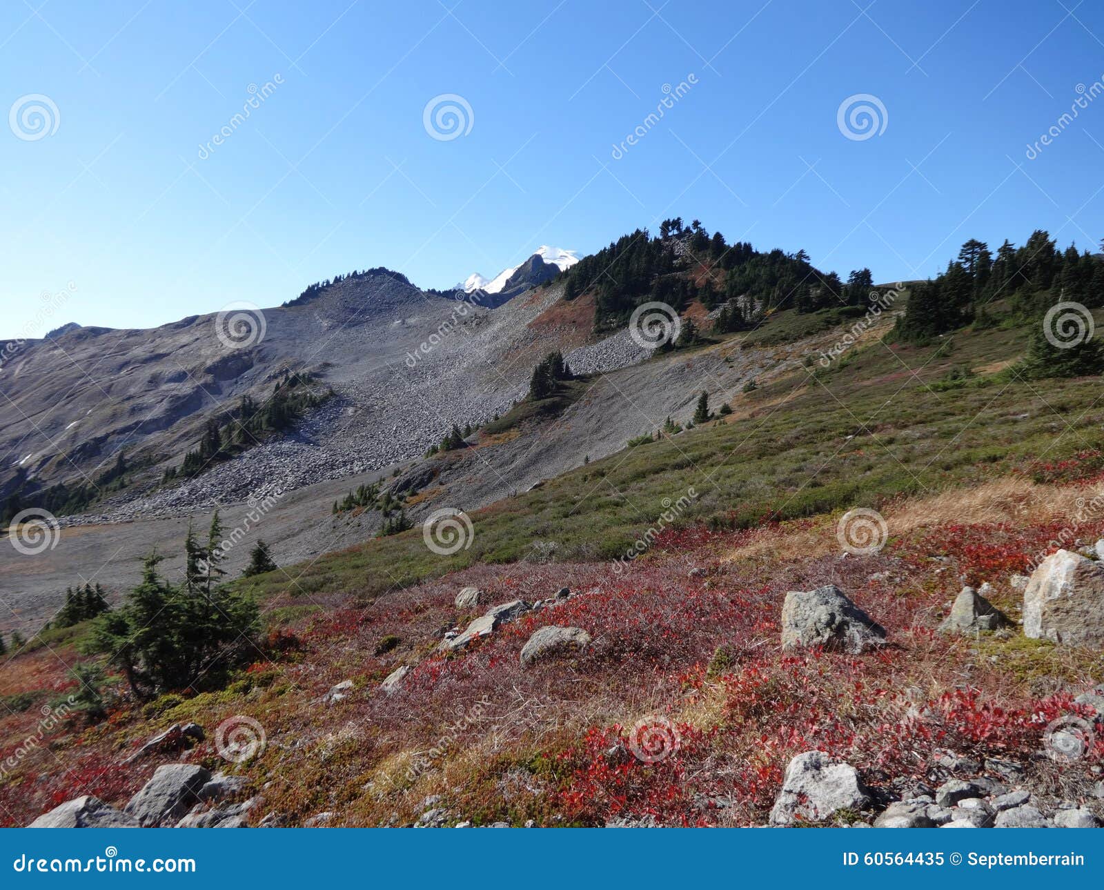 Ptarmigan Ridge Trail in Fall Stock Image - Image of breeze ...