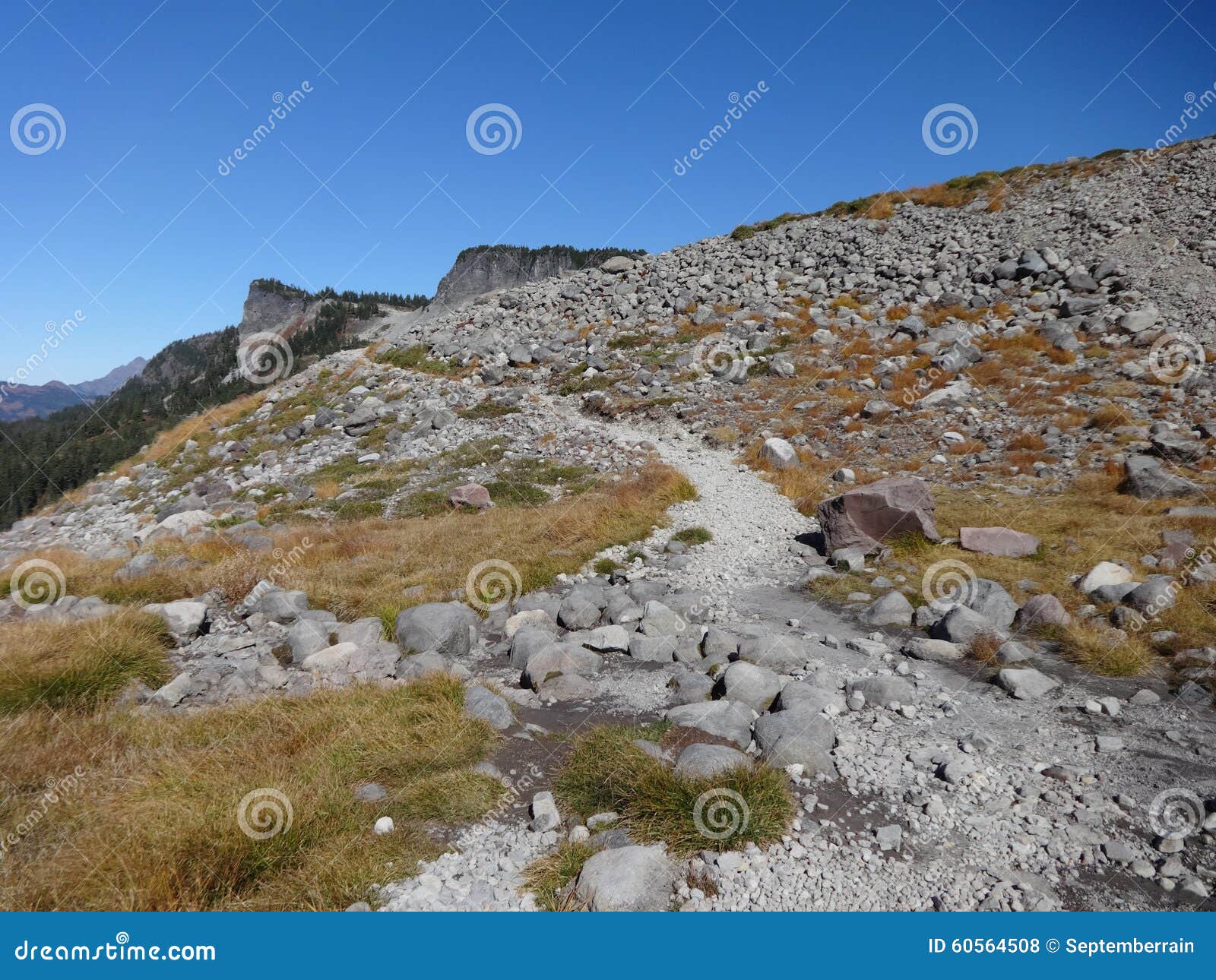 Ptarmigan Ridge Trail in Fall Stock Photo - Image of alpine, desert ...