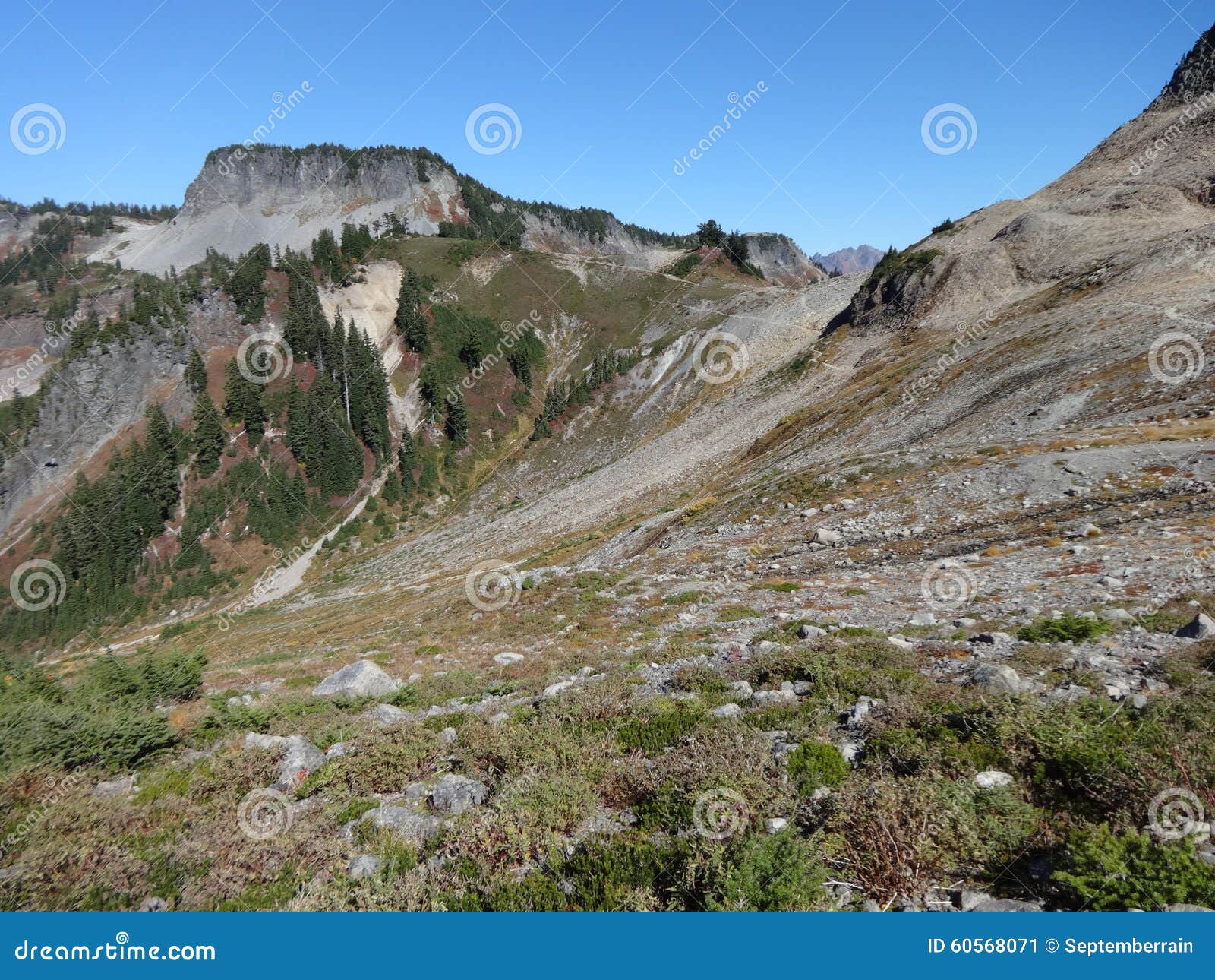 Ptarmigan Ridge Trail in Fall Stock Image - Image of evergreen, fall ...