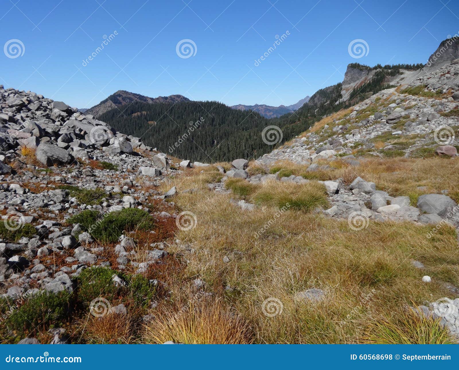 Ptarmigan Ridge Trail in Fall Stock Photo - Image of baker, formation ...