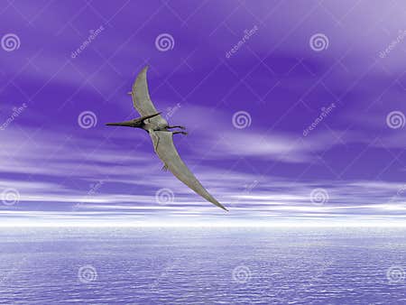 Pteranodon stock illustration. Illustration of beak, primeval - 5774396