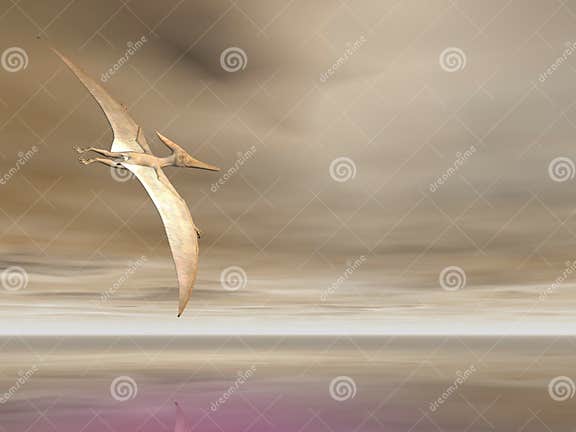 Pteranodon stock illustration. Illustration of teeth, prehistoric - 5791359