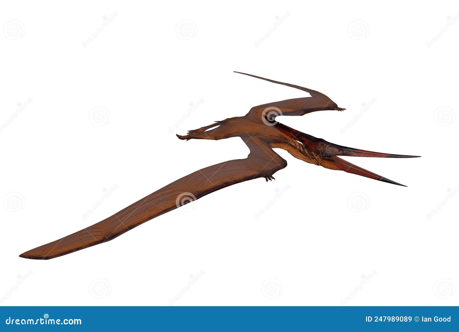 Pteranodon Dinosaur Fishing with Beak Open. 3D Illustration Isolated on ...