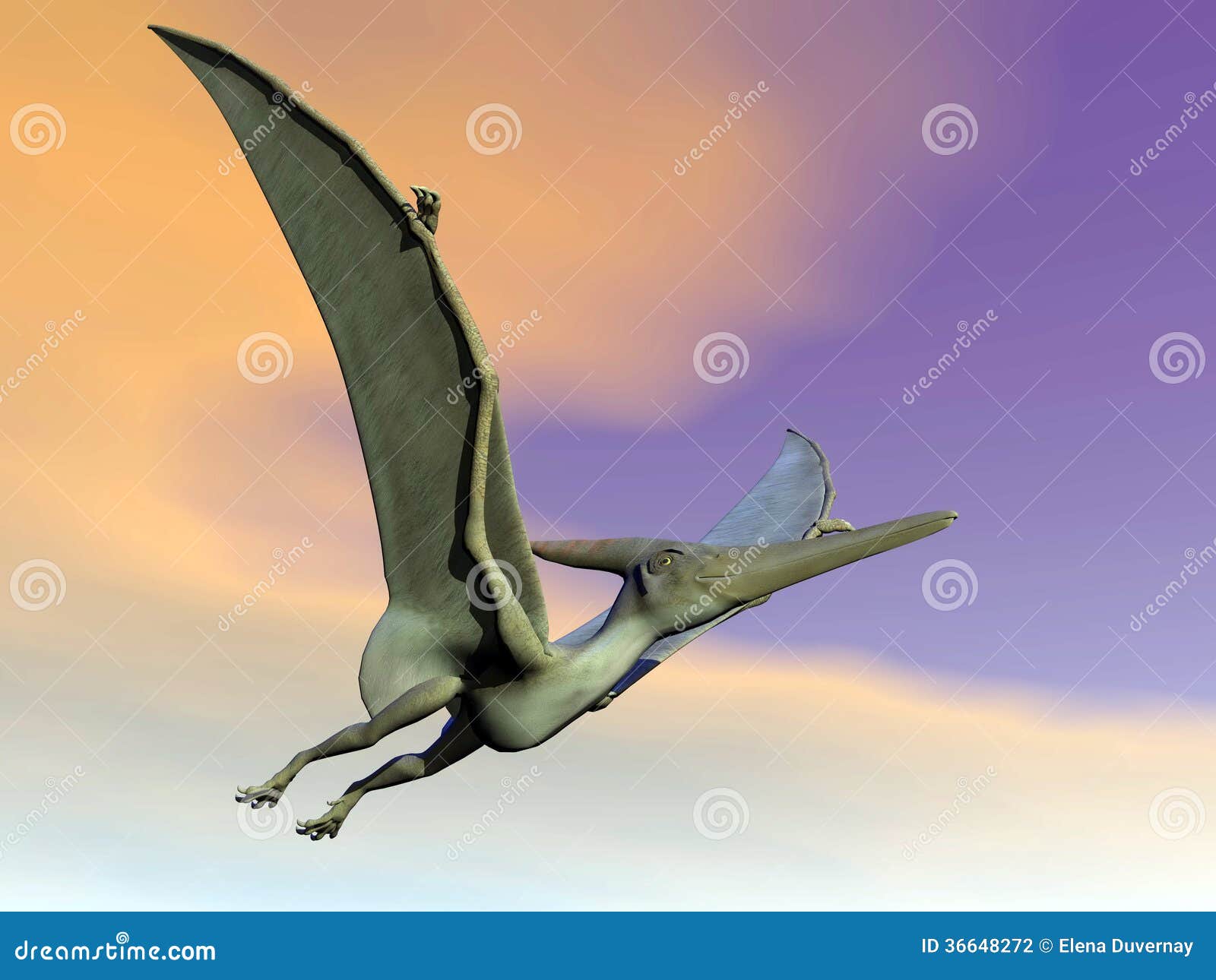 Pteranodon Dinosaur Flying - 3D Render Stock Illustration ...