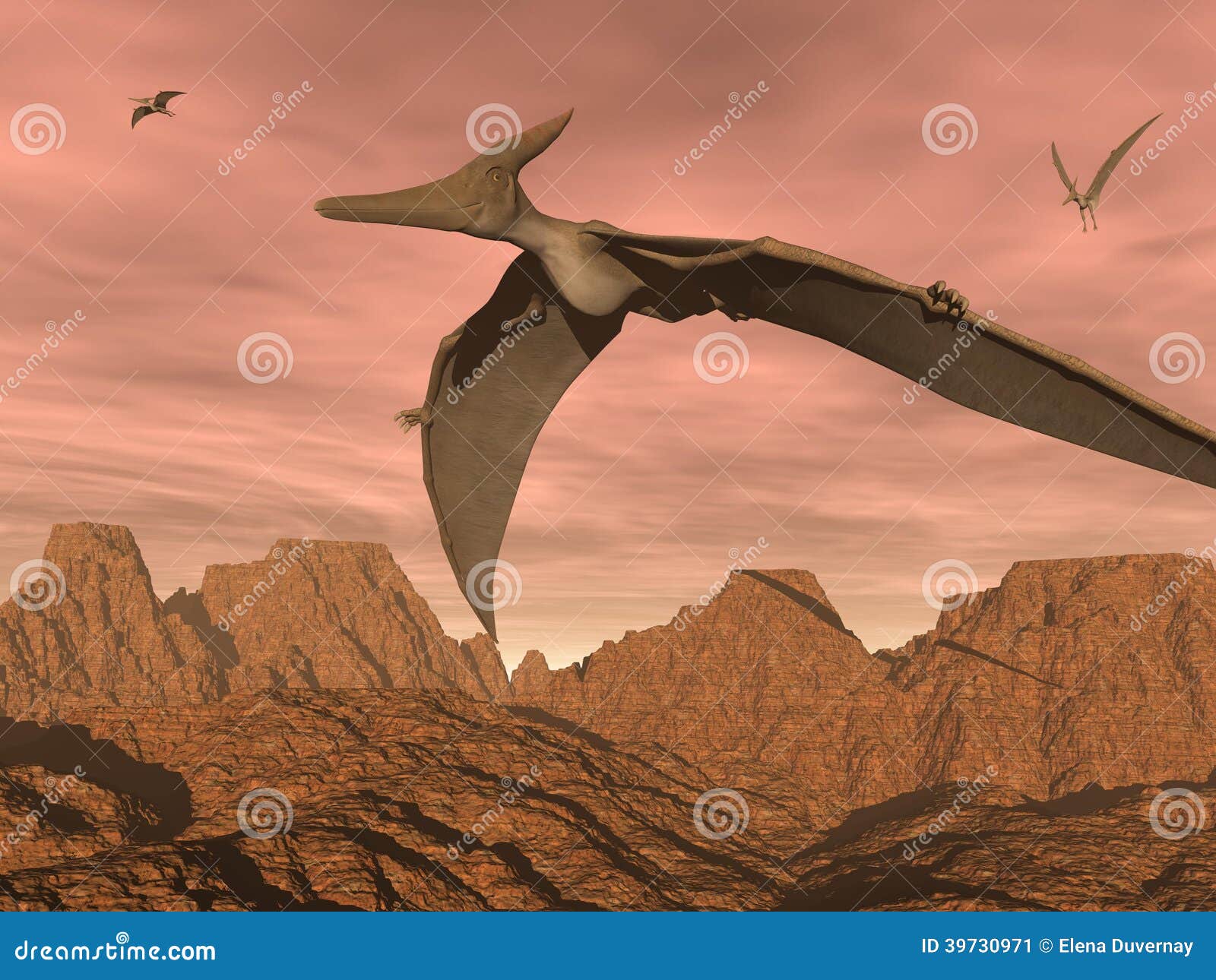 Pteranodon Dinosaurs Flying - 3D Render Stock Illustration ...