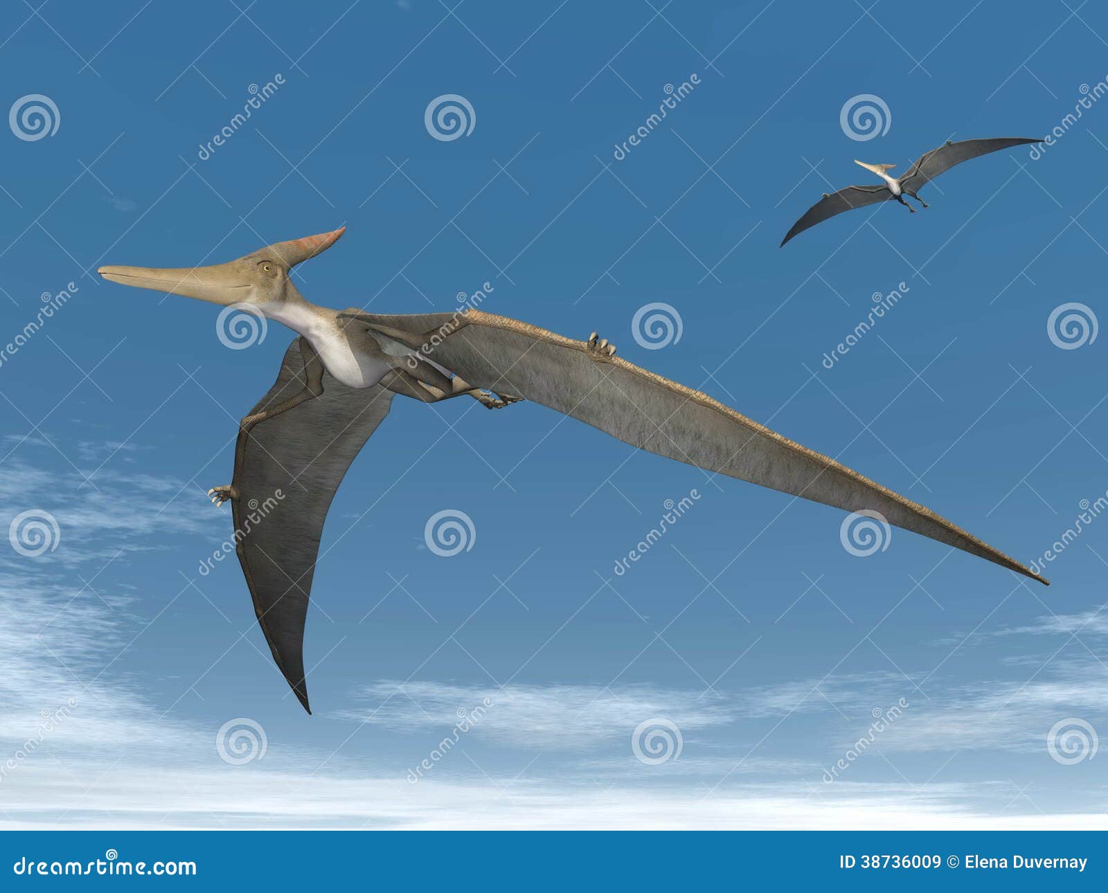 Pteranodon Dinosaurs Flying - 3D Render Stock Illustration ...