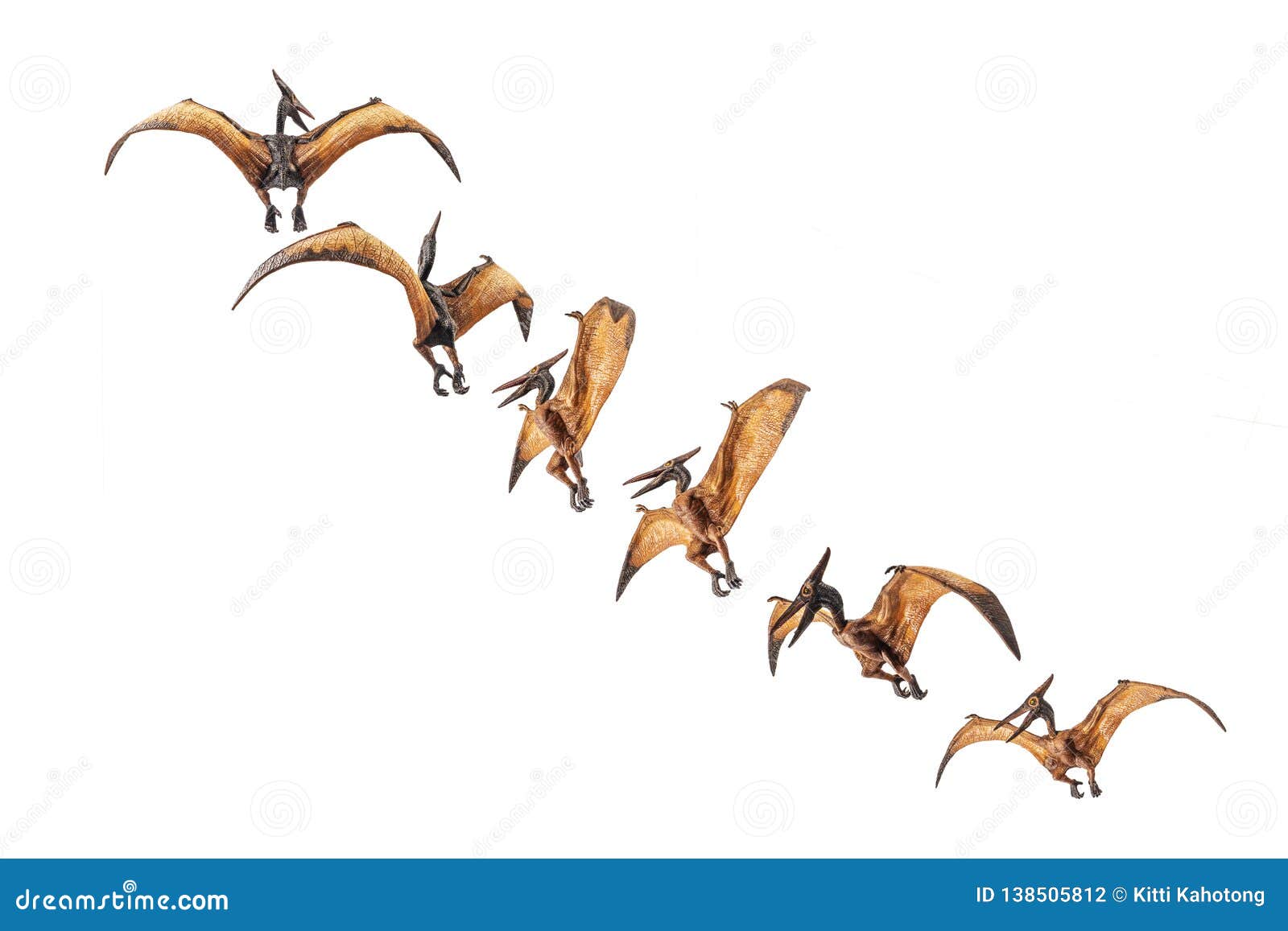 Pteranodon Pterodactyl Dinosaur on White Background Stock Photo - Image ...
