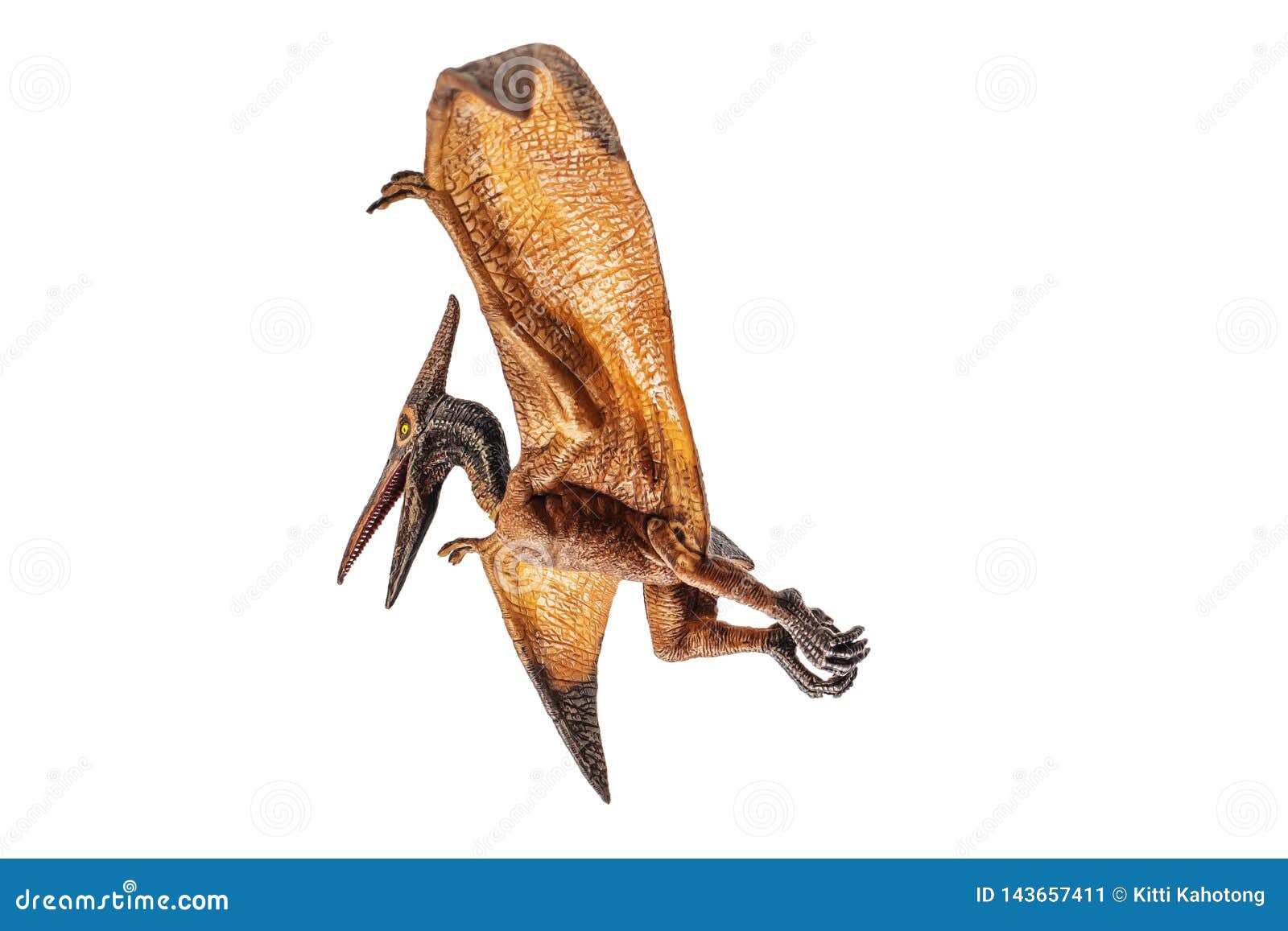 Pteranodon Pterodactyl Dinosaur on White Background Stock Image - Image ...