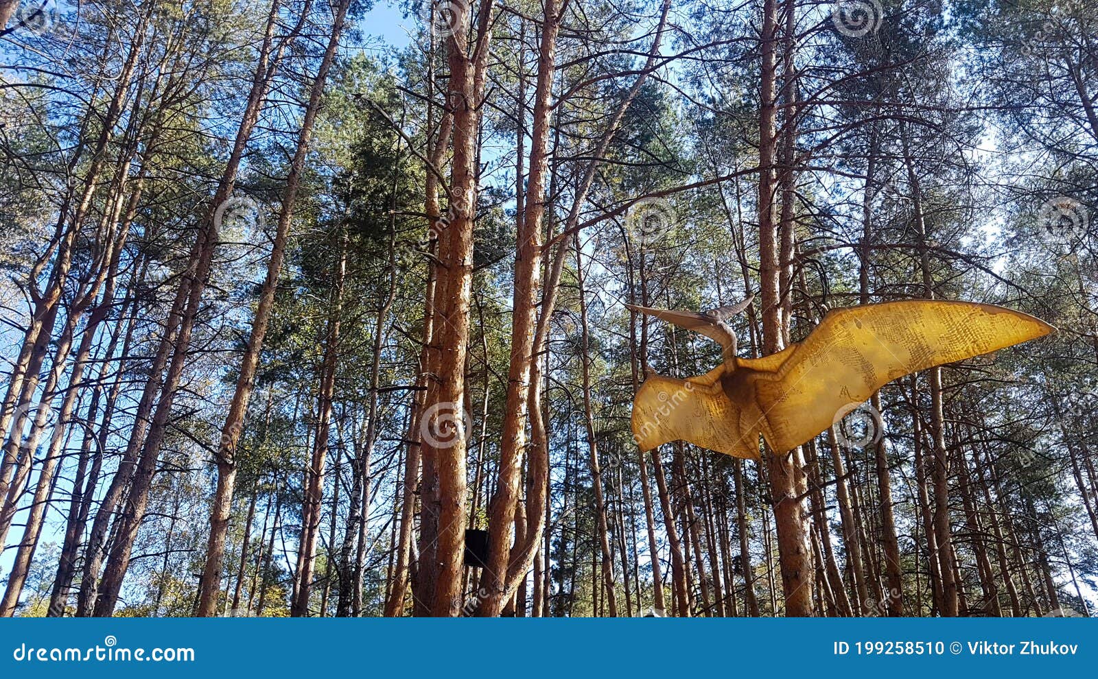 Pteranodons are a Genus of Pterosaurs that Includes Some of the Largest ...