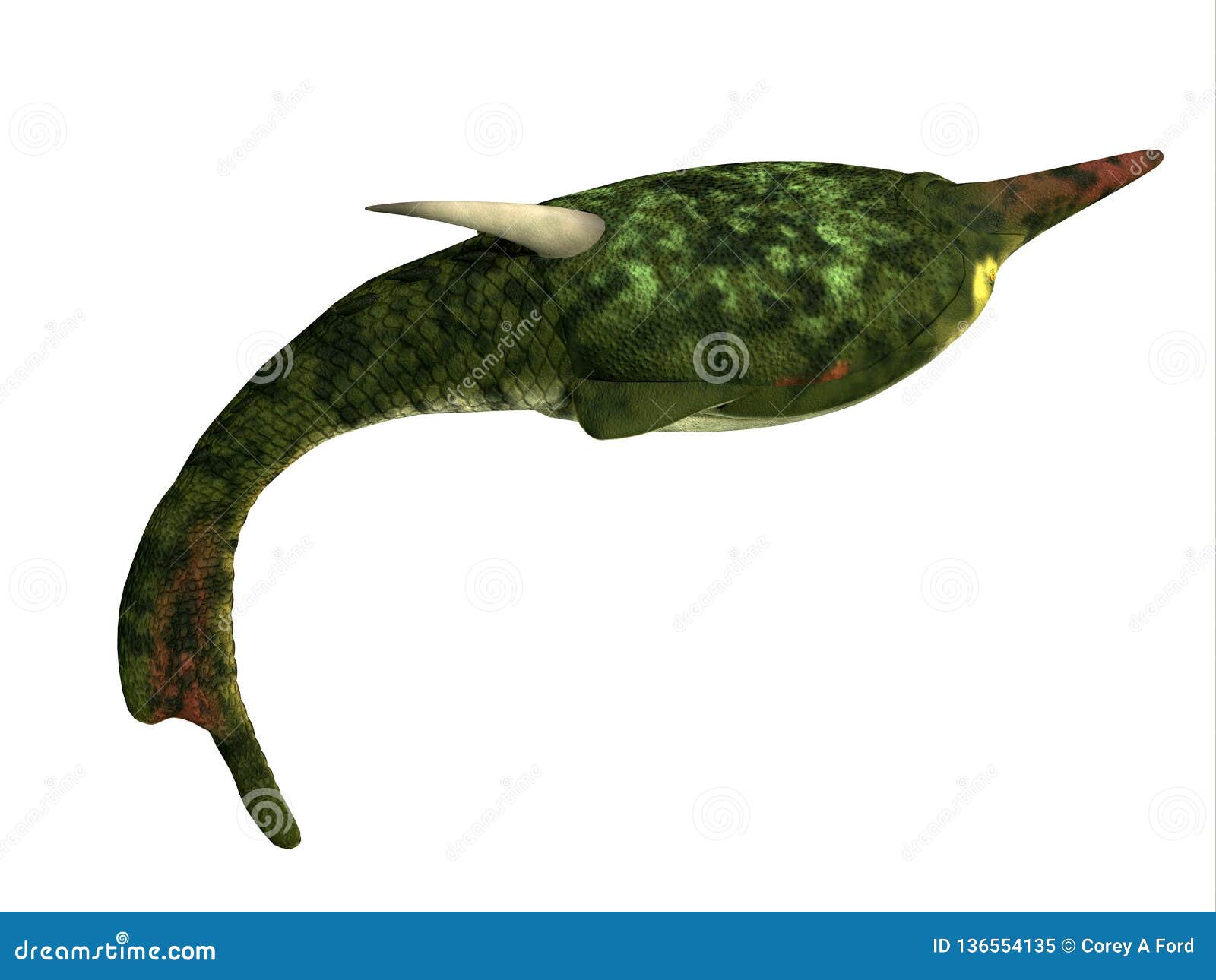 Pteraspis Fish Side Profile Royalty-Free Stock Photo | CartoonDealer ...