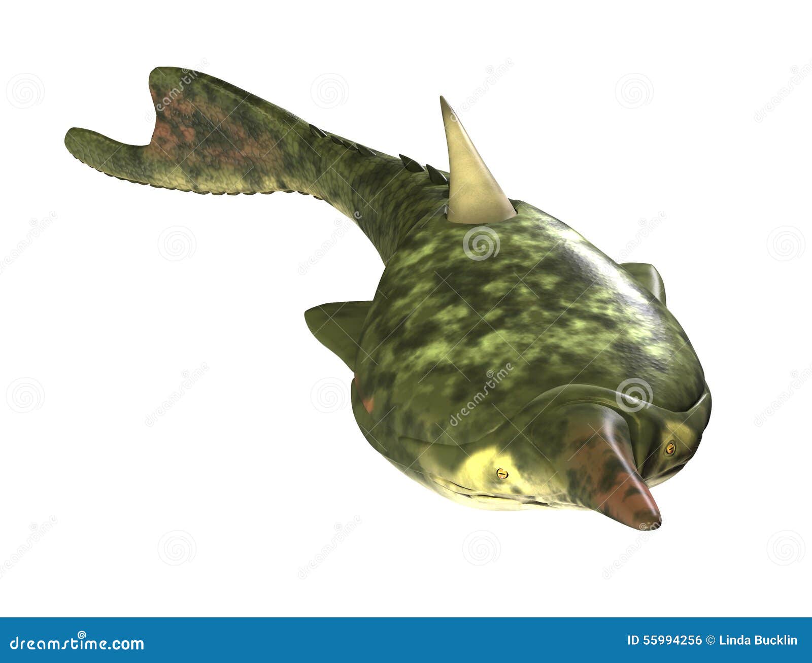 Pteraspis - Prehistoric Fish Stock Illustration - Illustration of ...