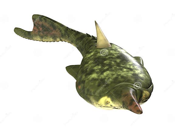 Pteraspis - Prehistoric Fish Stock Illustration - Illustration of ...