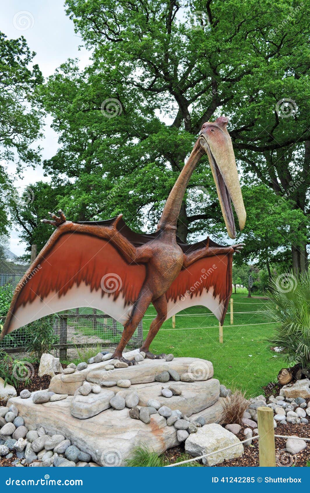 Pterodactyl dinosaur stock image. Image of animal, flying - 41242285