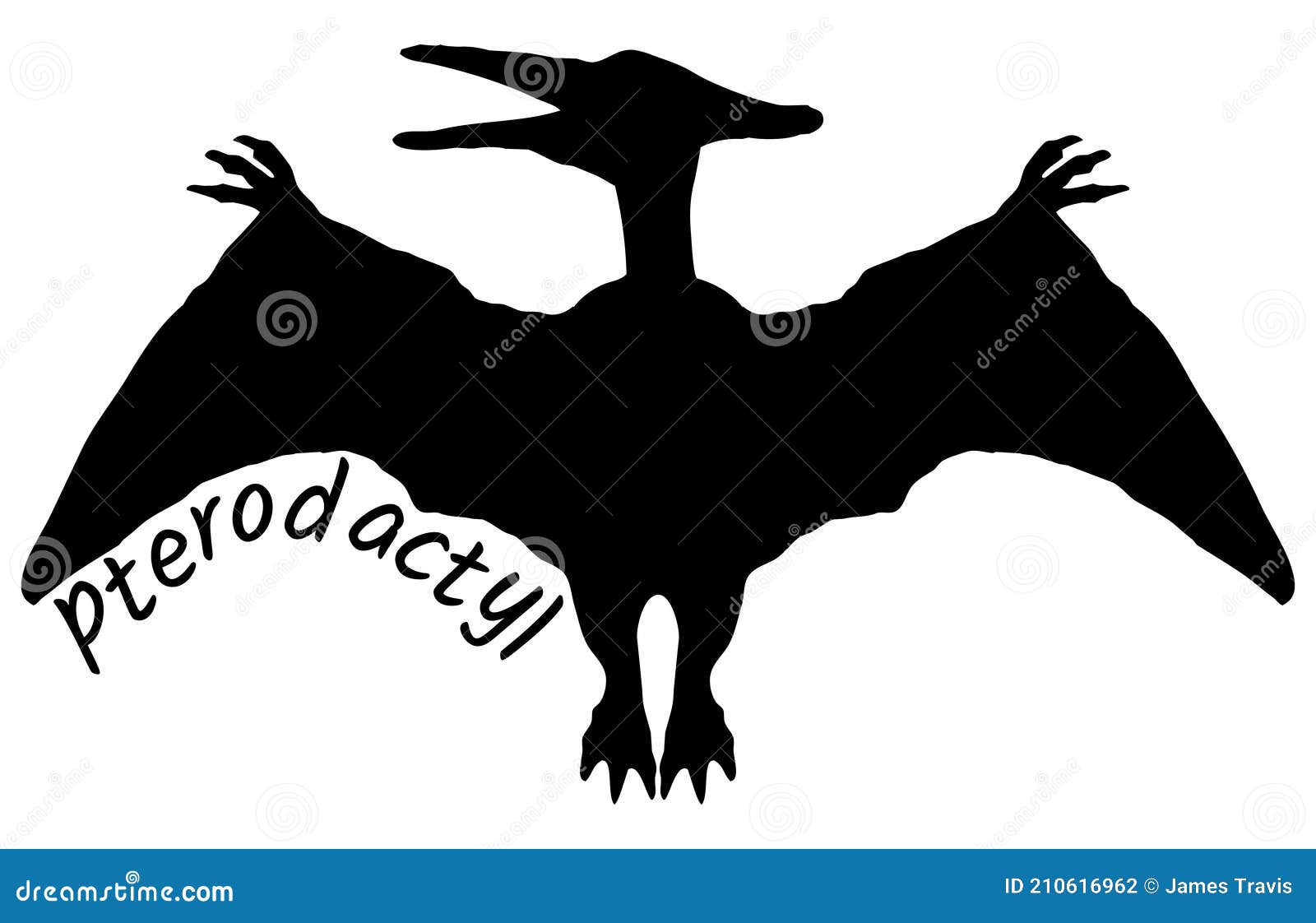 Pterodactyl Dinosaur Shape for Vinyl Sublimation Projects with Text ...