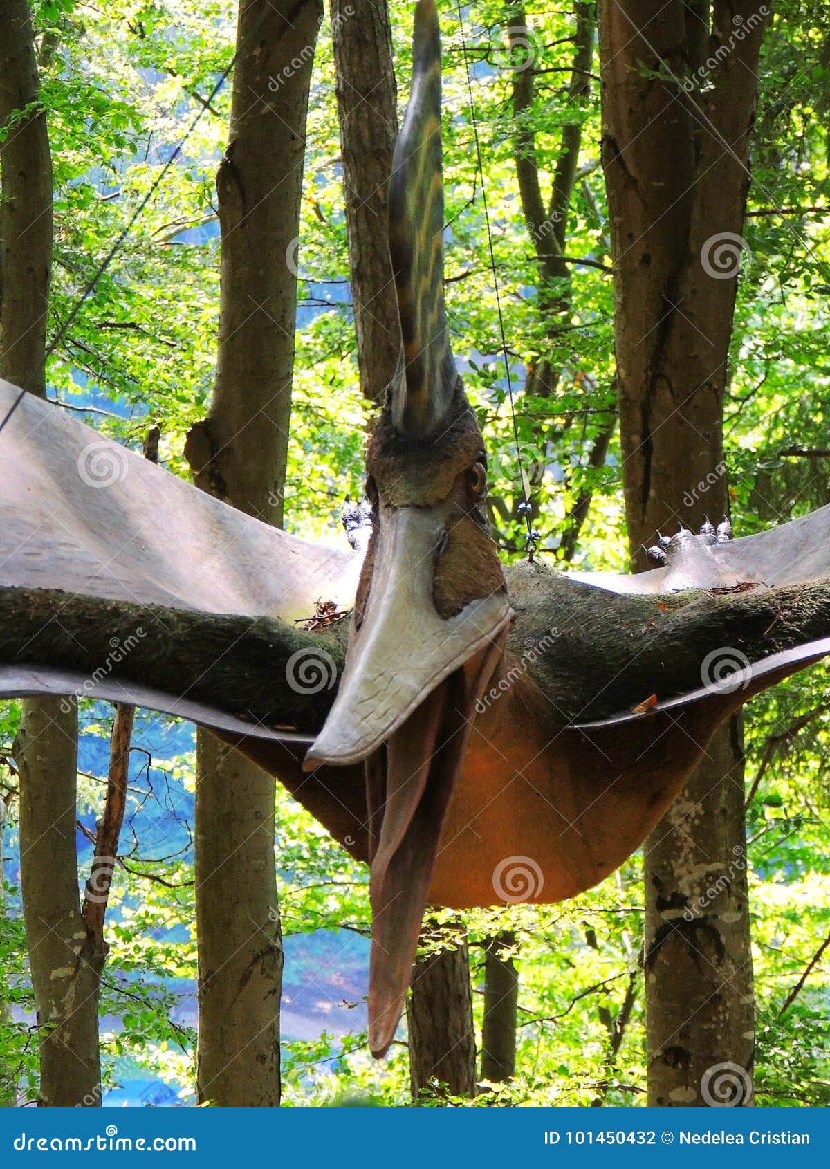 Pterodactyl. Flying Dinosaur Editorial Photography - Image of ...