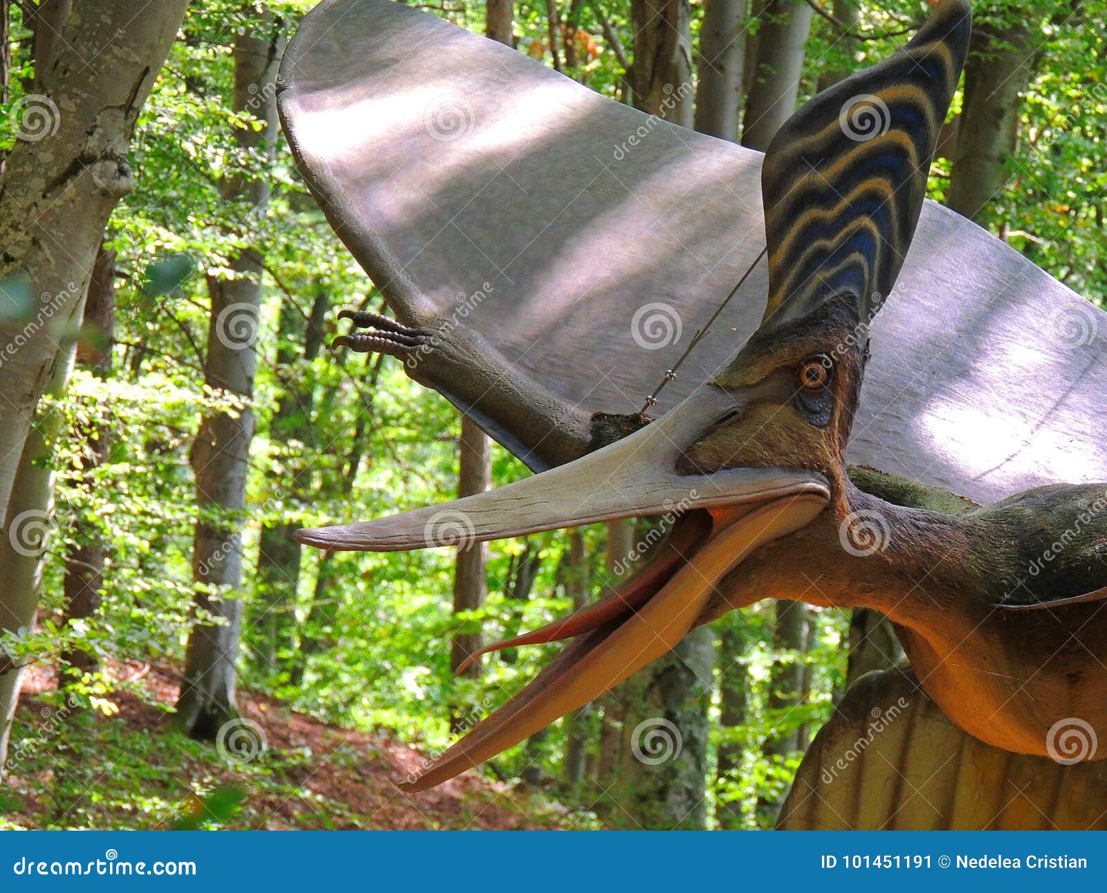 Pterodactyl. Flying Dinosaur Editorial Photo - Image of flying ...