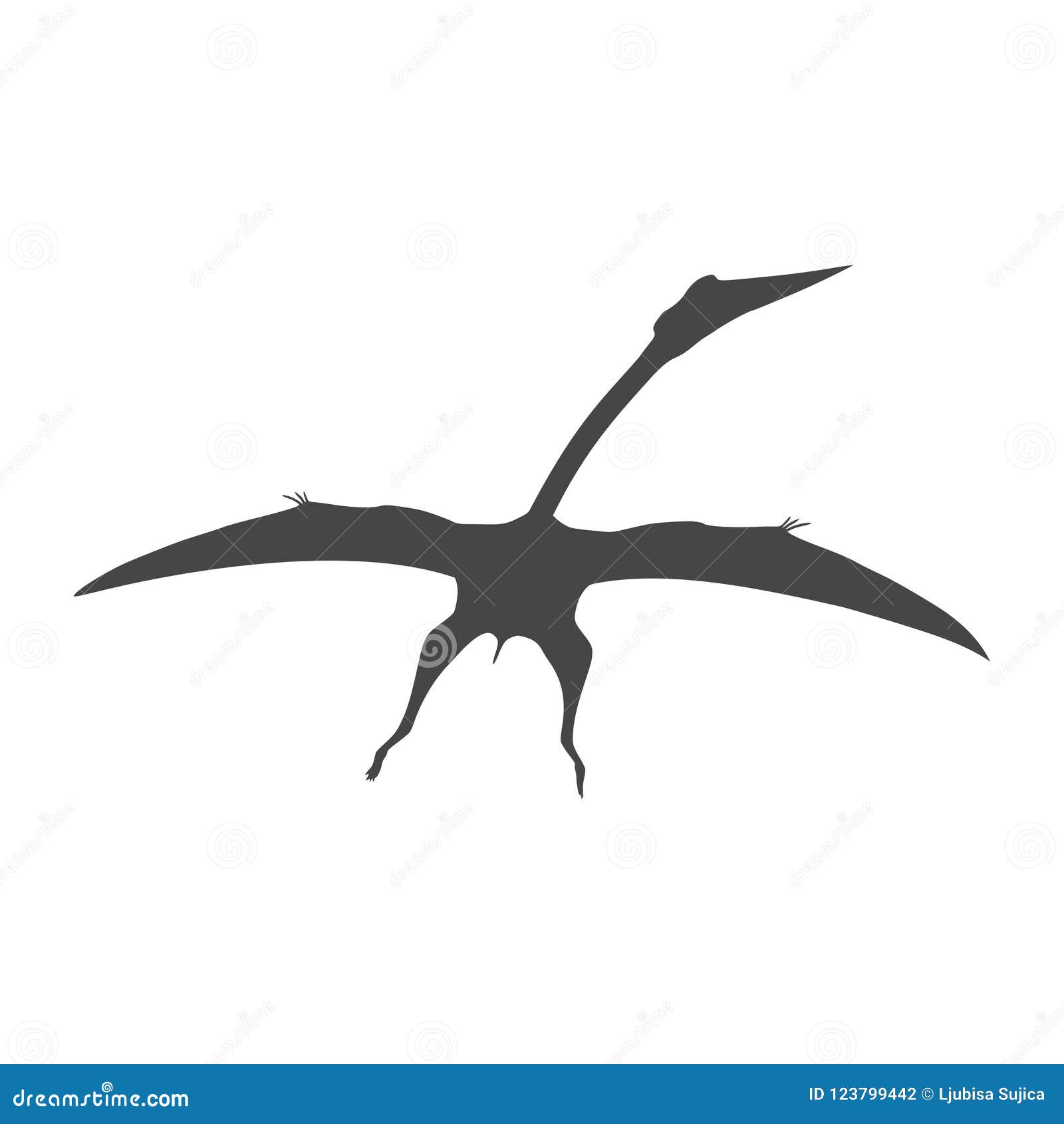 Pterodactyl Icon, Vector Drawing, Pteranodon Bird | CartoonDealer.com ...