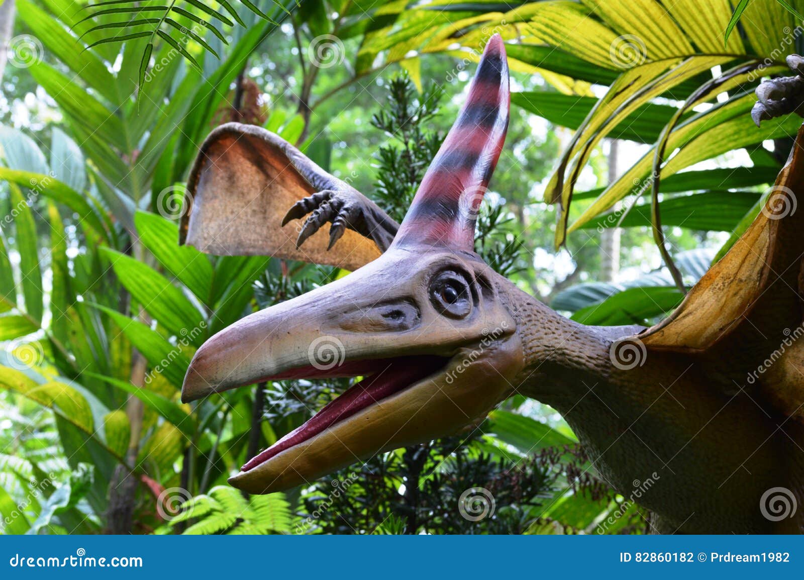 Pterodactyl stock photo. Image of dinosaur, creature - 82860182