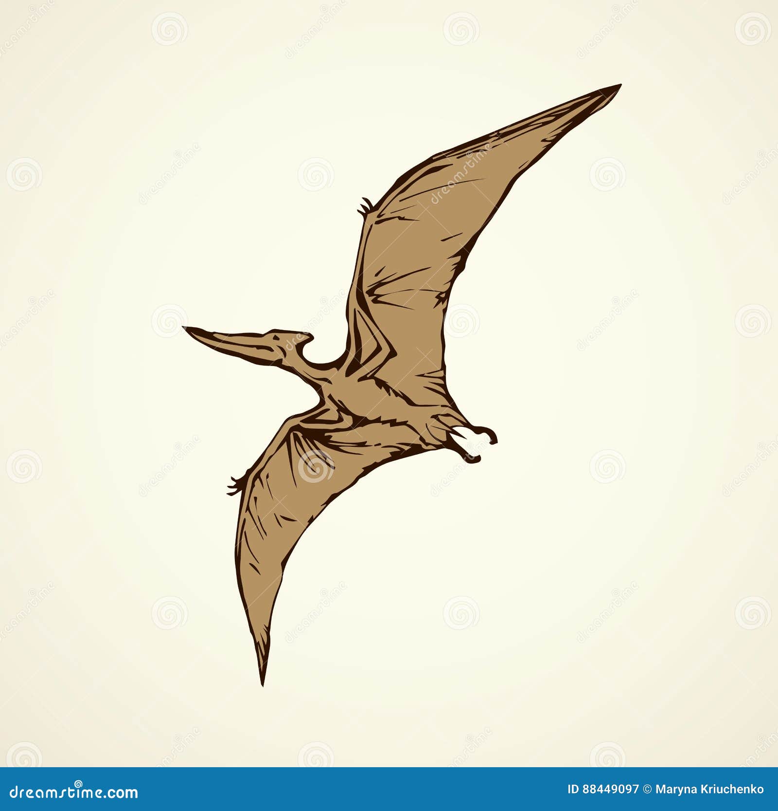 Pterodactyl Vector Tekening Vector Illustratie - Illustration of hagedis, contour: 88449097