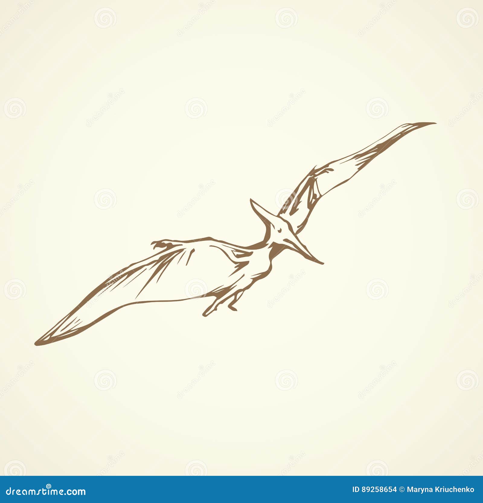 Pterodactyl Vector Tekening Vector Illustratie - Illustration of illustratie, tijdperk: 89258654