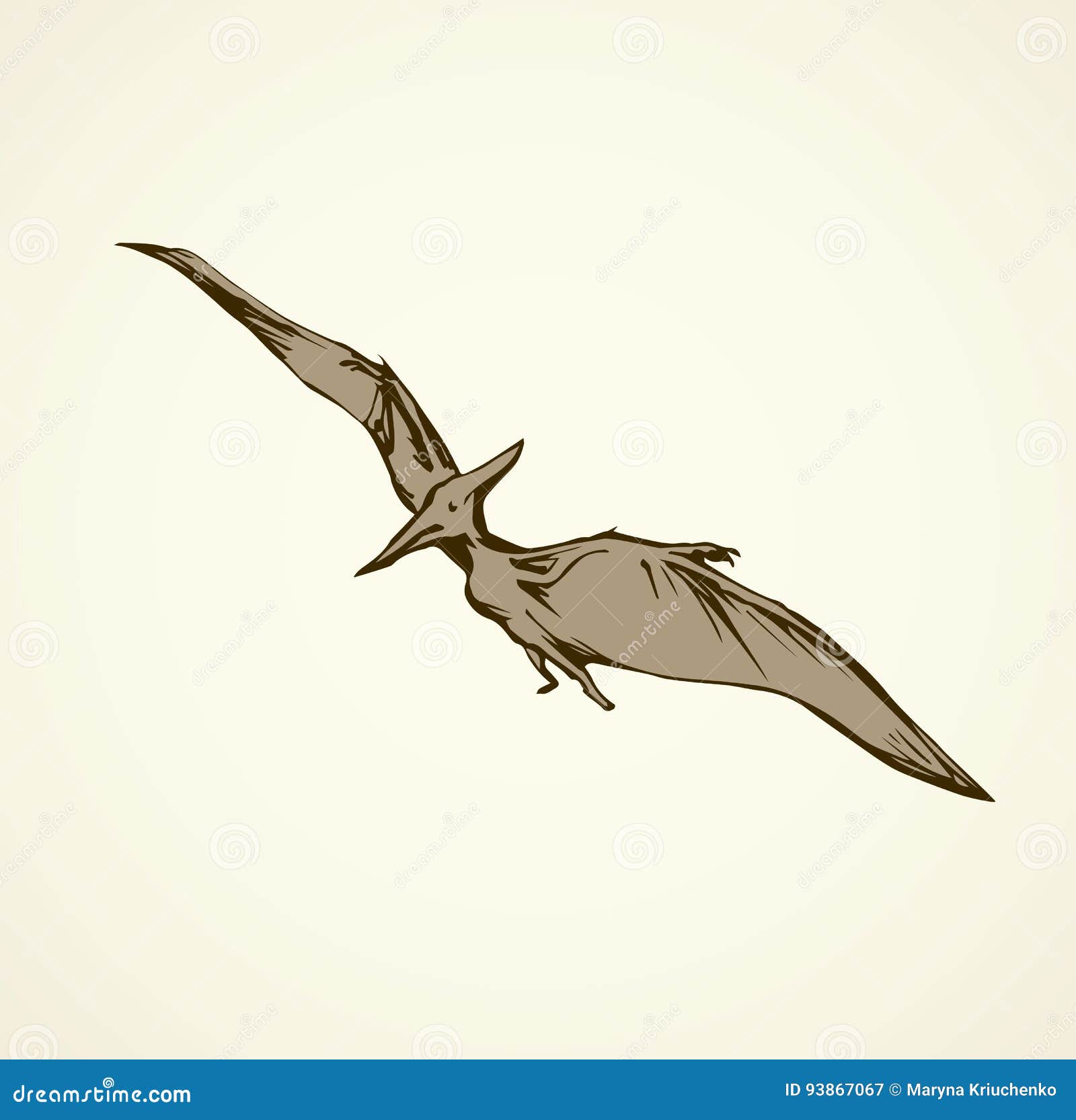 Pterodactyl Vector Tekening Vector Illustratie - Illustration of gevaarlijk, vlucht: 93867067