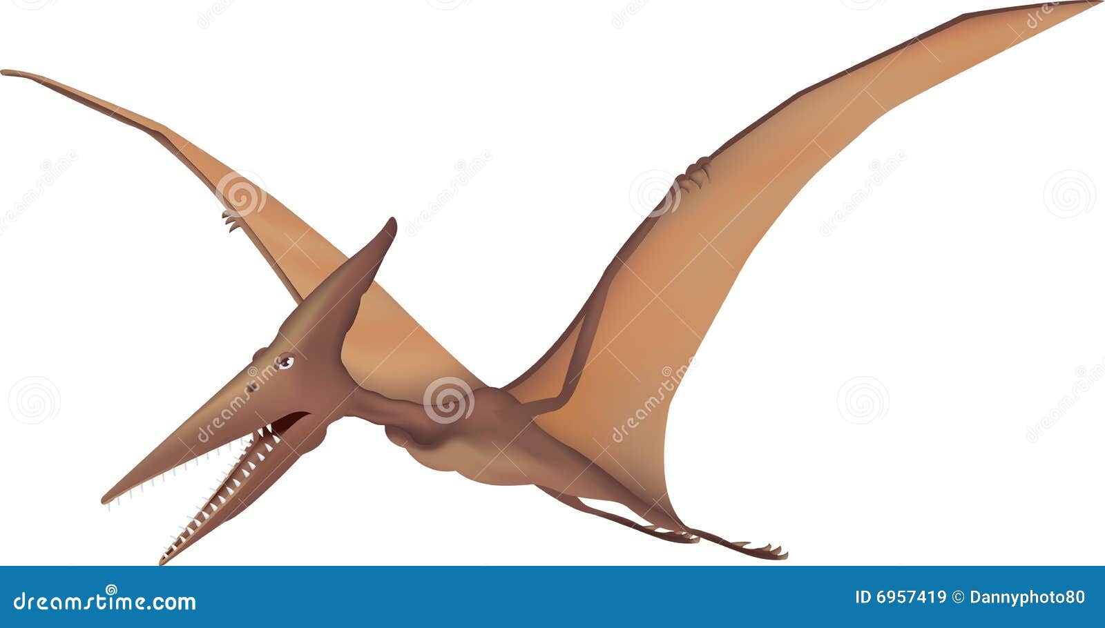 Pterodactylus stock illustratie. Illustration of hagedis - 6957419