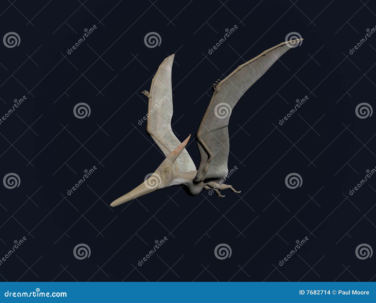 Pterodactylus stock illustratie. Illustration of illustratie - 7682714