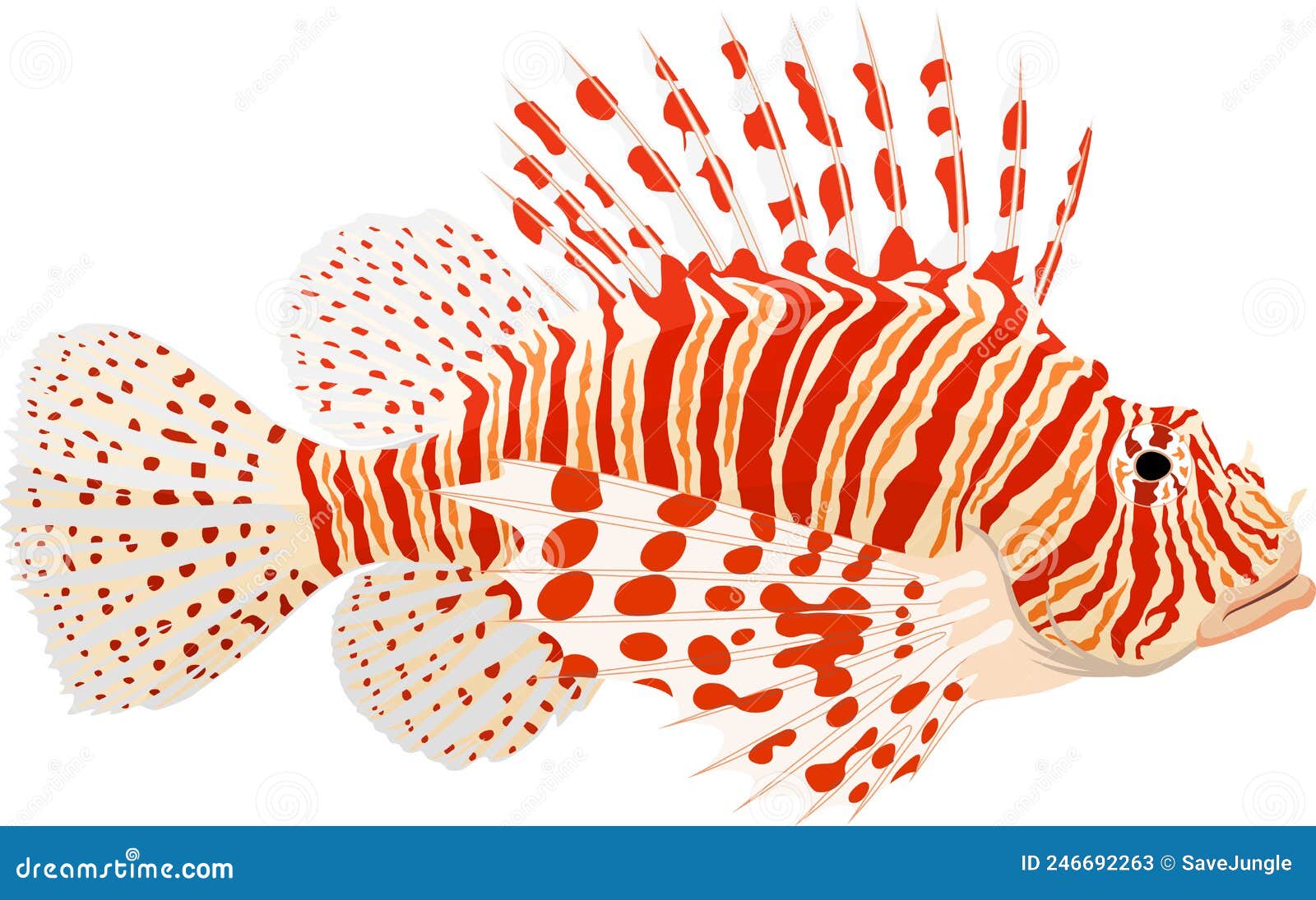 Pterois Known As Lionfish Cartoon Vector | CartoonDealer.com #246692263
