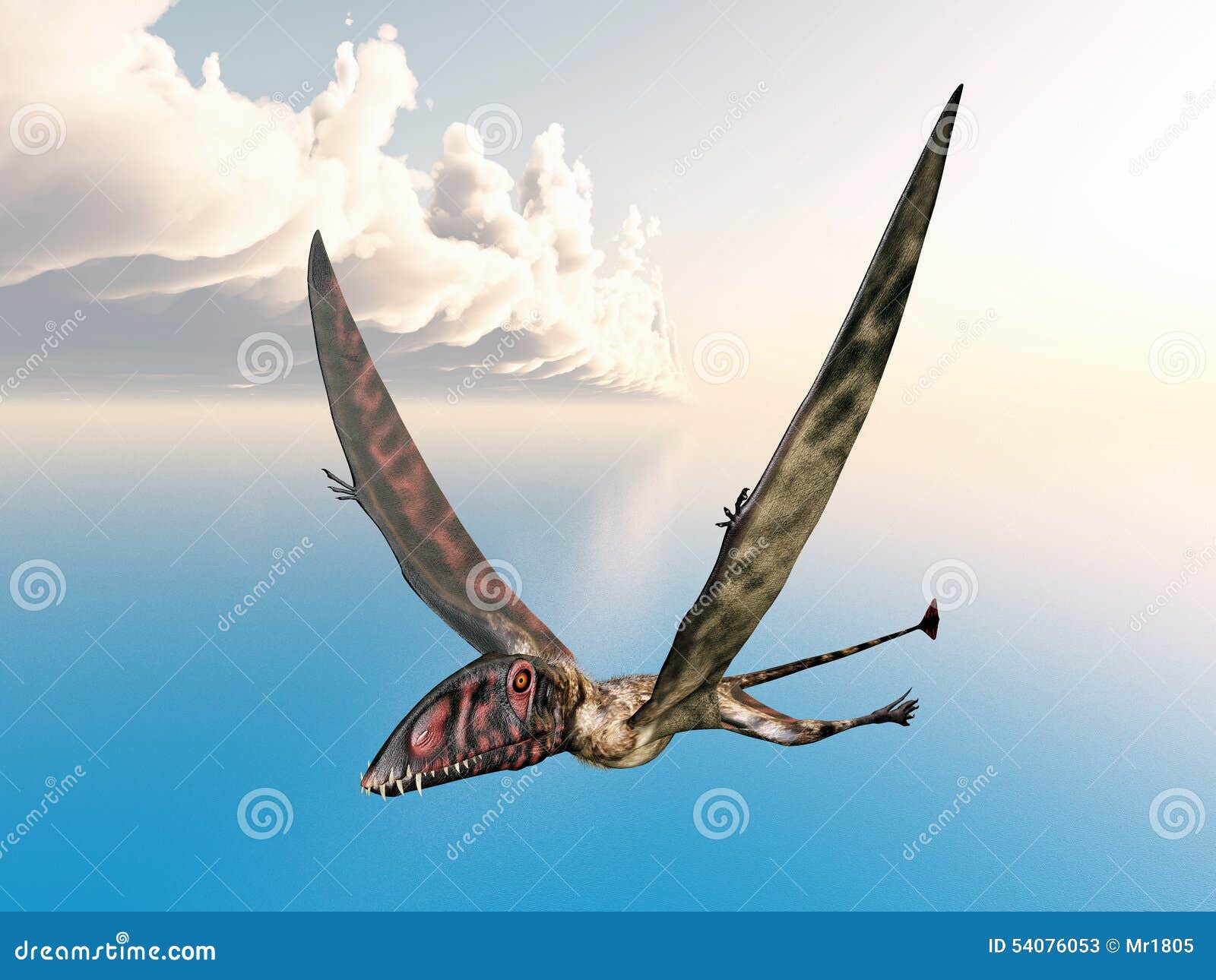 Dimorphodon Reptile Side Profile Royalty-Free Stock Image ...